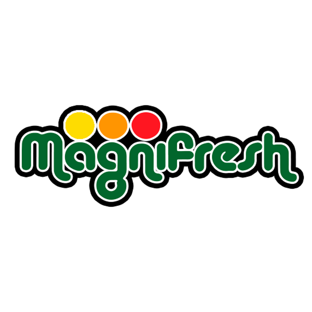 Iniciar Sesión - Magnifresh